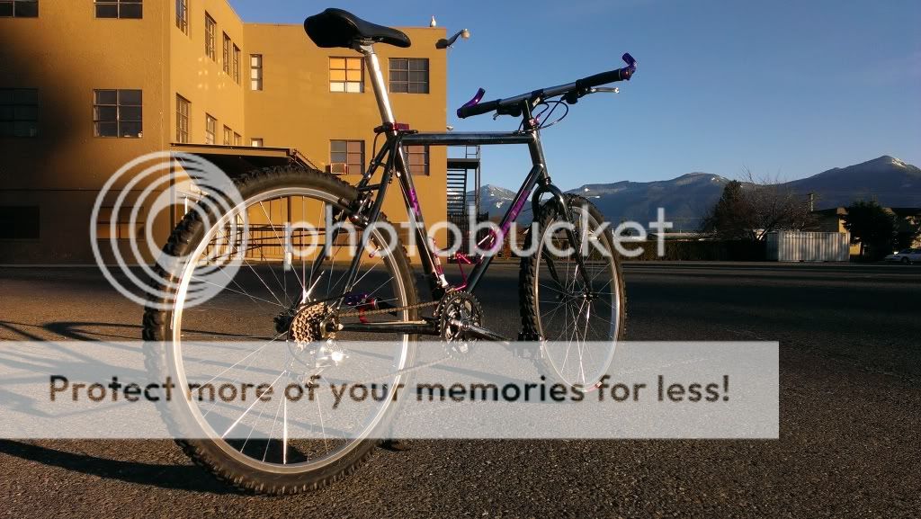 my collection- need help on which one to keep out!? | Retrobike