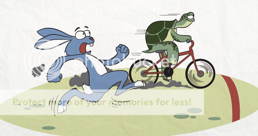 Turtle and rabbit race need some critiques! | Threadless